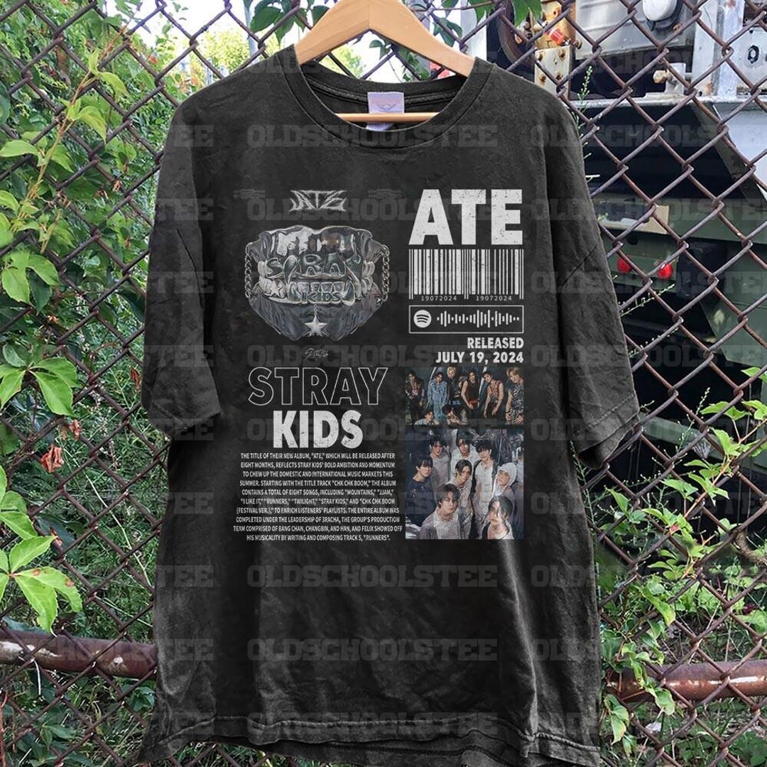 Stray Kids Shirt, Stray Kids Album Vintage, Stray Kid Kpop Album ...