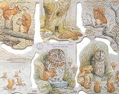 Vintage England Beatrix Potter Lithographed Die Cut Paper - Etsy