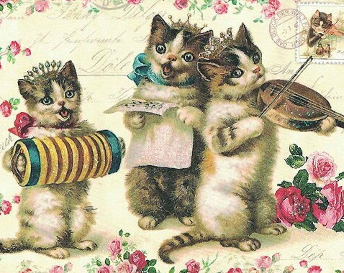 5 Germany Postcards Cat Band Kittens Five Matching German Cards PK950 ...