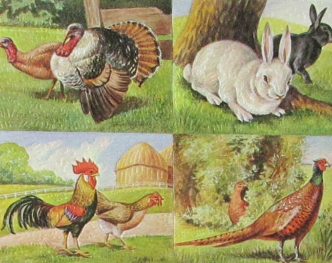 This item is unavailable - Etsy