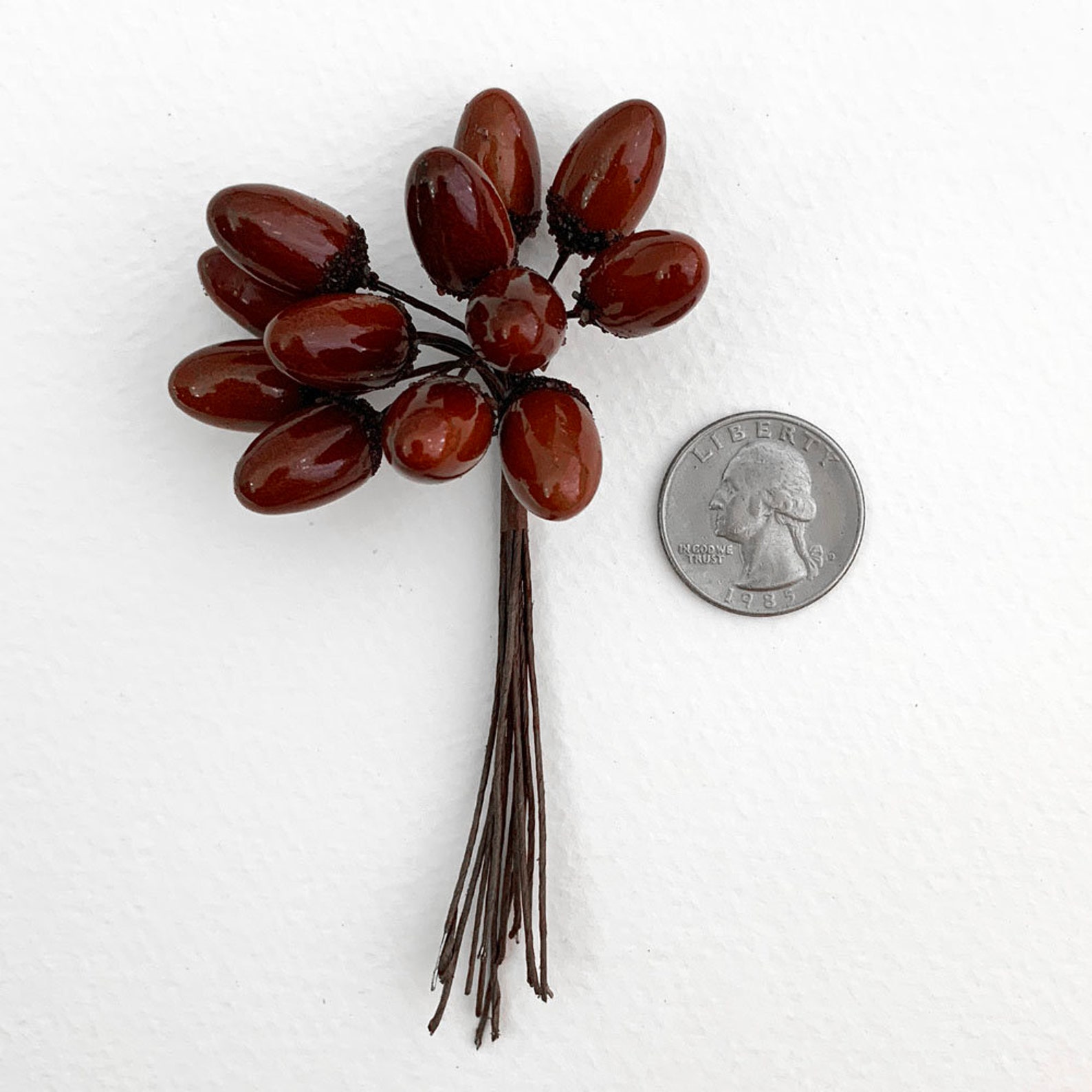 Austria 24 Millinery Shiny Brown Acorns for Christmas Wreaths - Etsy