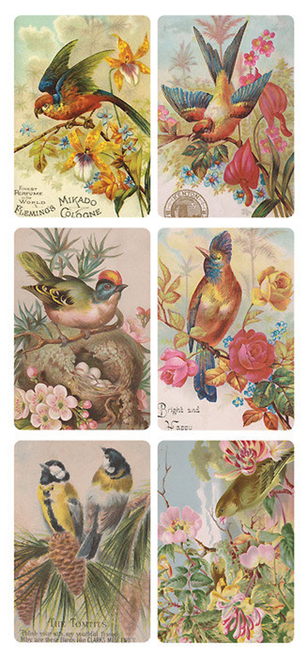 3 Sheets Self Adhesive Bird Trade Cards Stickers Colorful Scrapbooking ...