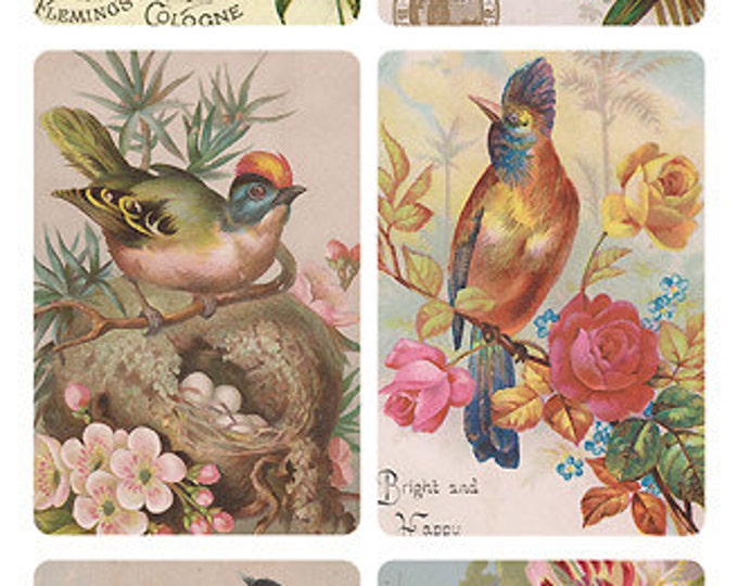 3 Sheets Self Adhesive Bird Trade Cards Stickers Colorful Scrapbooking ...