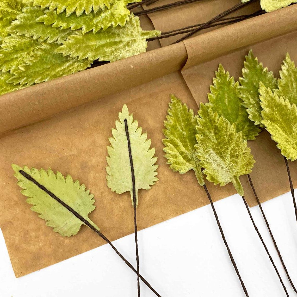 12 Czech Velvet Birch Leaves Millinery Moss Green Ombre Leaf NLC126-MG ...