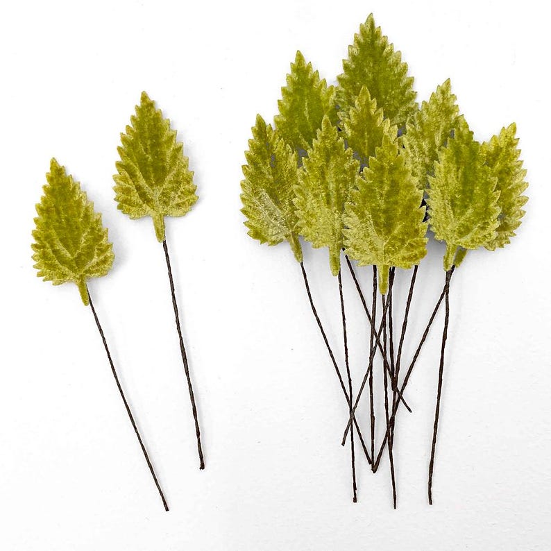 12 Czech Velvet Birch Leaves Millinery Moss Green Ombre Leaf NLC126-MG ...