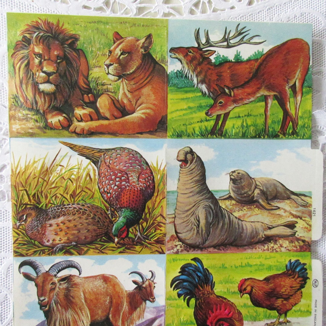 5 Sheets England Vintage Wild Animals Scrap Animal Paper Scraps MLP Out ...