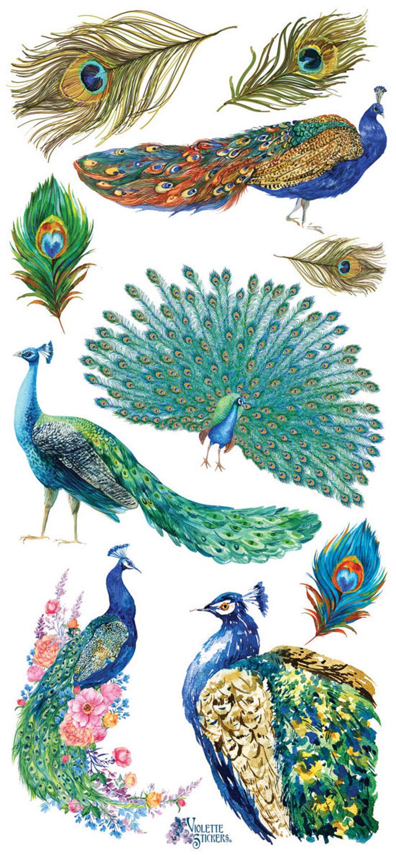 3 Sheets Self Adhesive Peacocks and Feathers Stickers STKC129 - Etsy