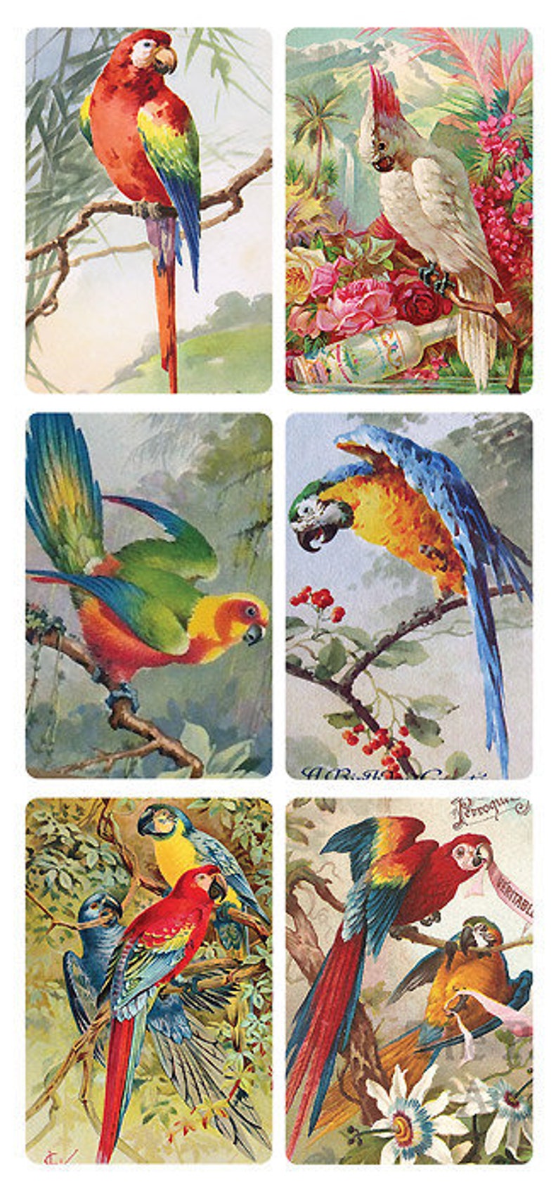 3 Sheets Self Adhesive Victorian Birds Colorful Scrapbooking | Etsy