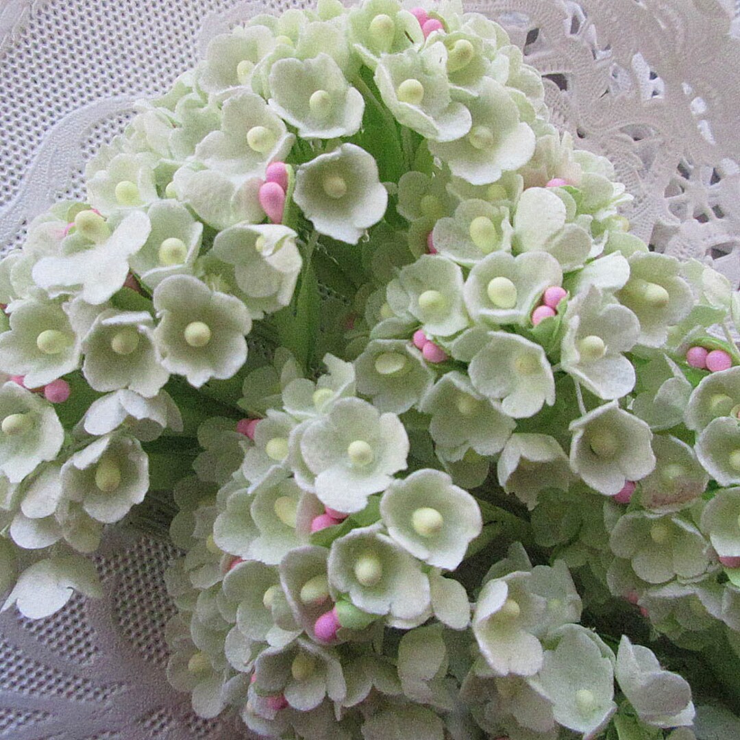 4 Bundles Pale Green Forget Me Nots Paper Millinery Flowers - Etsy