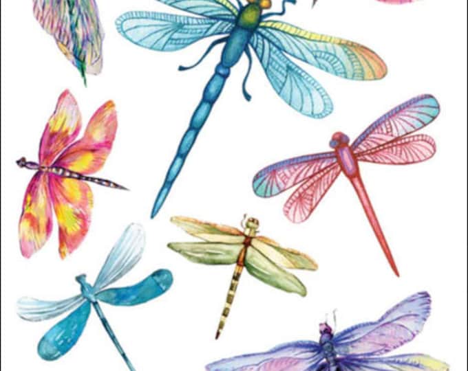 Dragonfly Window Stickers Common Whitetail Dragonfly Clear Weatherproof ...