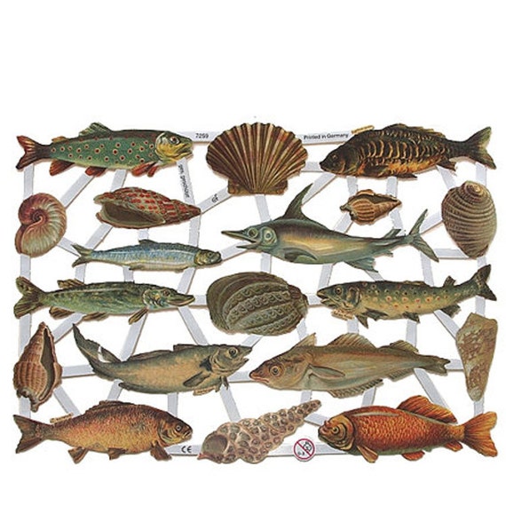 Germany Lithographed Die Cut Paper Fish and Seashell Scraps | Etsy