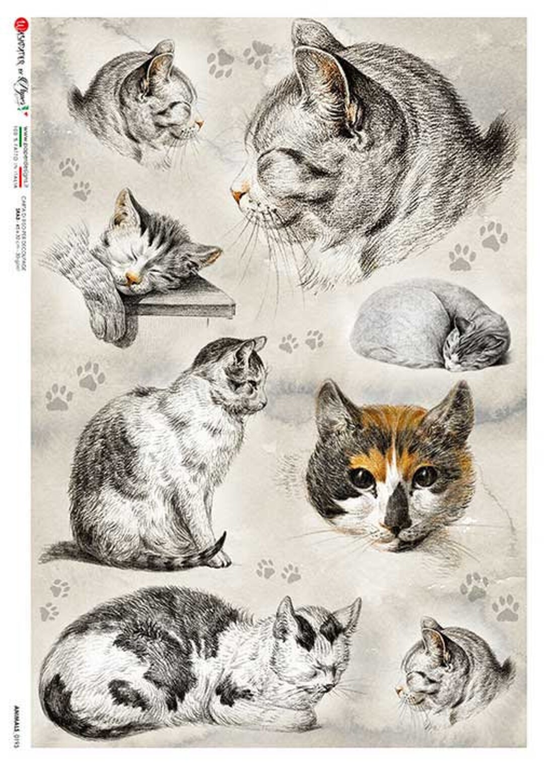 2 Sheets Italy Rice Paper Decoupage Cats Kittens Animals RCP-AN-195 X2 ...