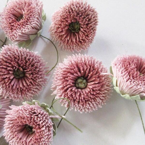 English Daisy - Etsy