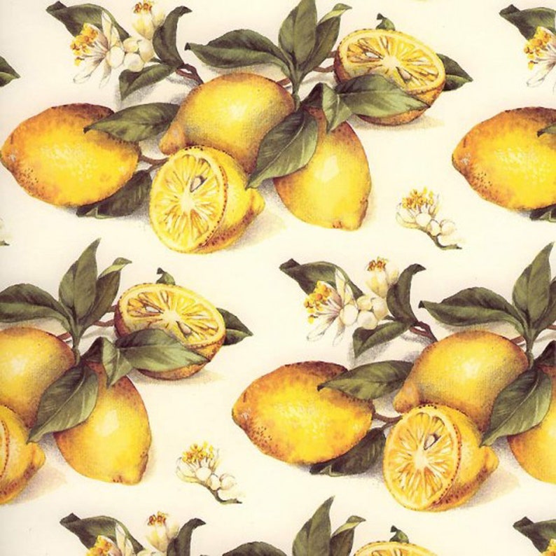 2 Sheets Lemons Fruit Italian Print Paper Tassotti Italy - Etsy