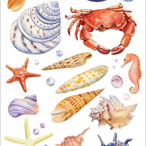 3 Sheets Self Adhesive Sea Life Shells Stickers Each Sheet 3-3/4" by 7 ...