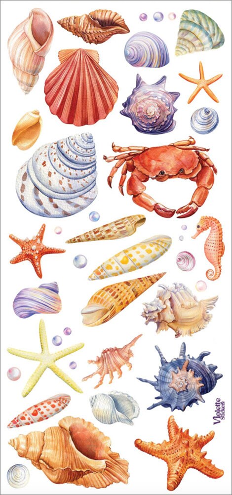 3 Sheets Self Adhesive Sea Life Shells Stickers Each Sheet 3-3/4" by 7 ...
