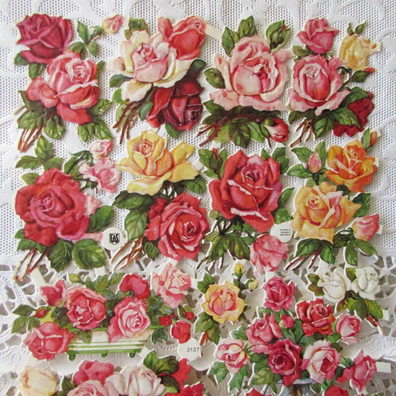German Rose - Etsy