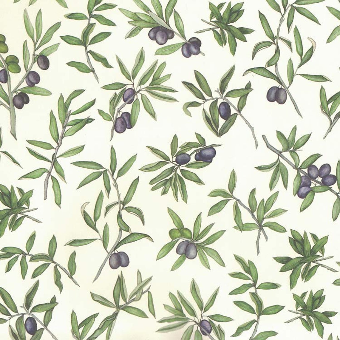 2 Sheets Olives Olive Fruit Italian Paper Leonardo Italy - Etsy