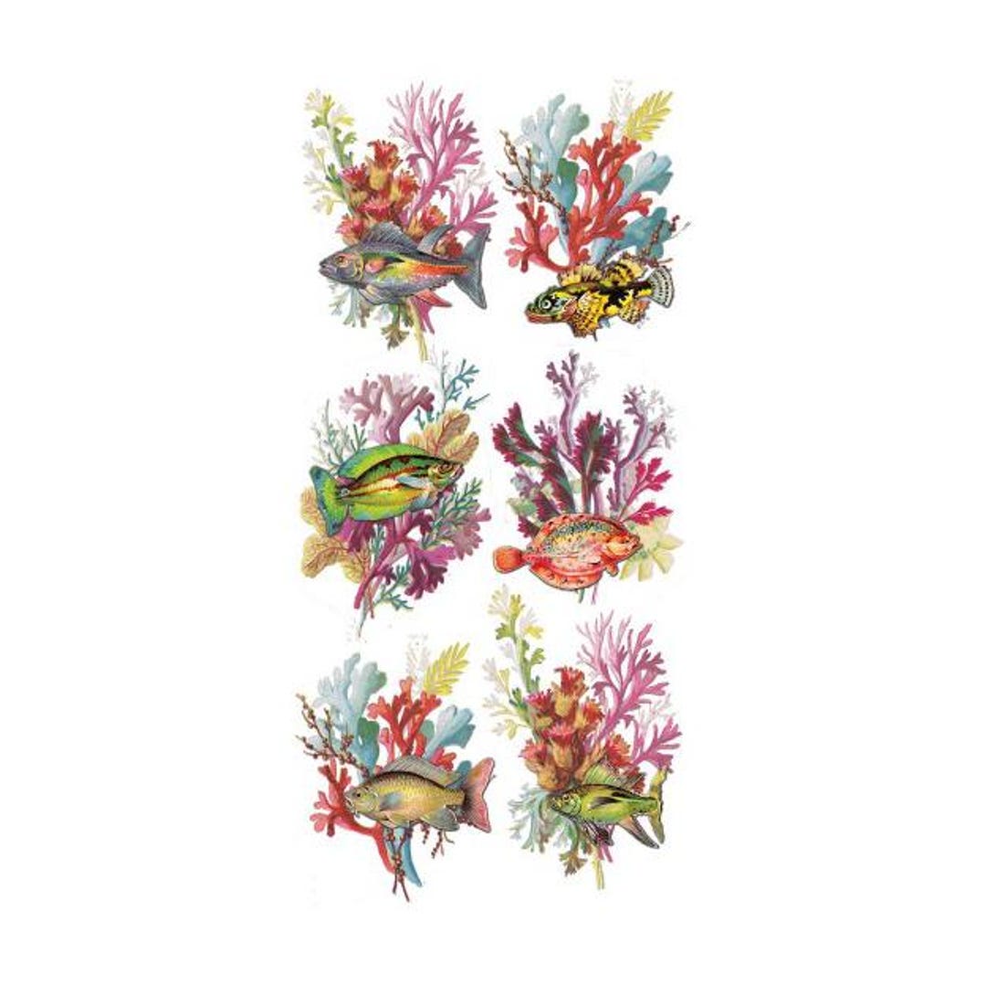 3 Sheets Self Adhesive Rainbow Reef Fish Stickers Colorful Scrapbooking ...