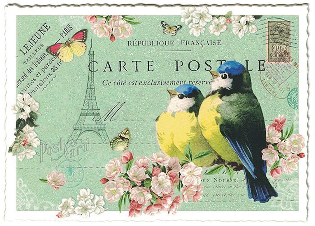 5 Germany Postcards Vintage Bird Collage Five Matching German Cards ...