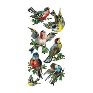 3 Sheets Self Adhesive Bird Stickers Colorful Scrapbooking Stickers ...