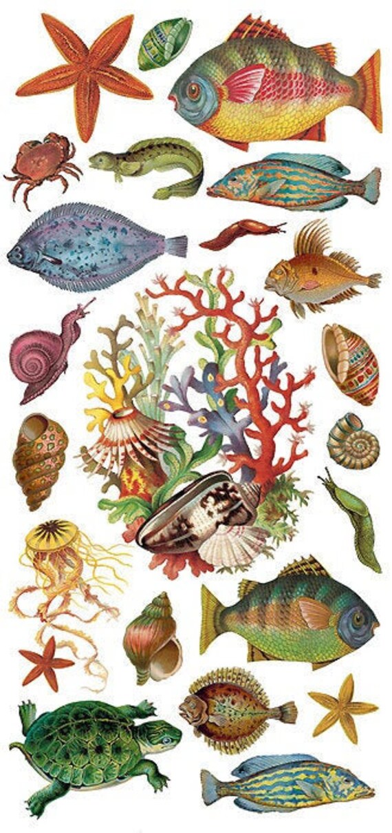 3 Sheets Self Adhesive Sealife Fish Ocean Stickers Colorful - Etsy