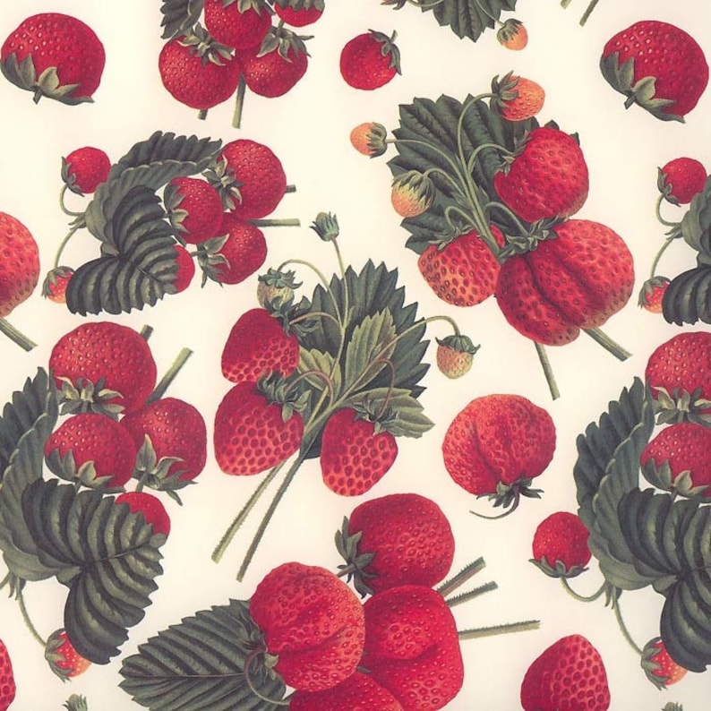 2 Sheets Red Strawberries Strawberry Print Italian Paper | Etsy