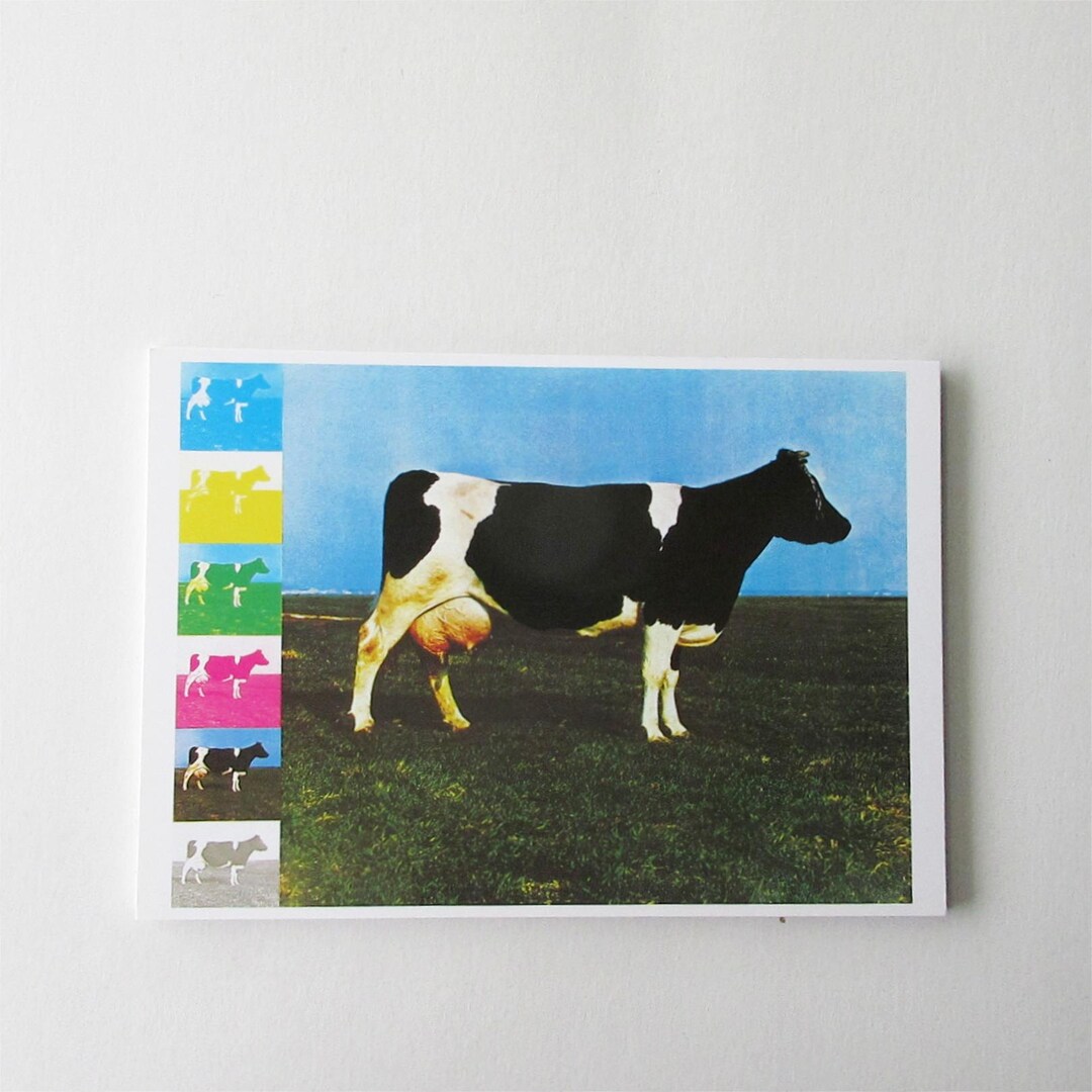 10 Holland Dutch Cow Postcards Greeting Card Ten Matching Cards ...