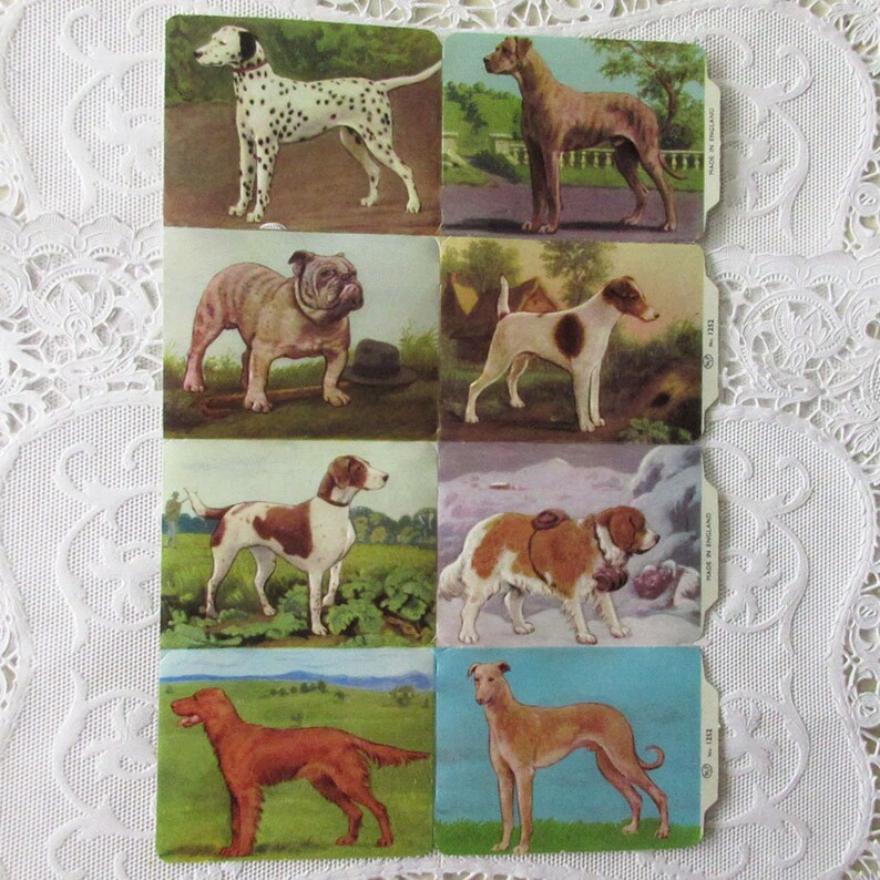 England Vintage Dogs Animals Scrap Dog Paper Scraps MLP Out of - Etsy