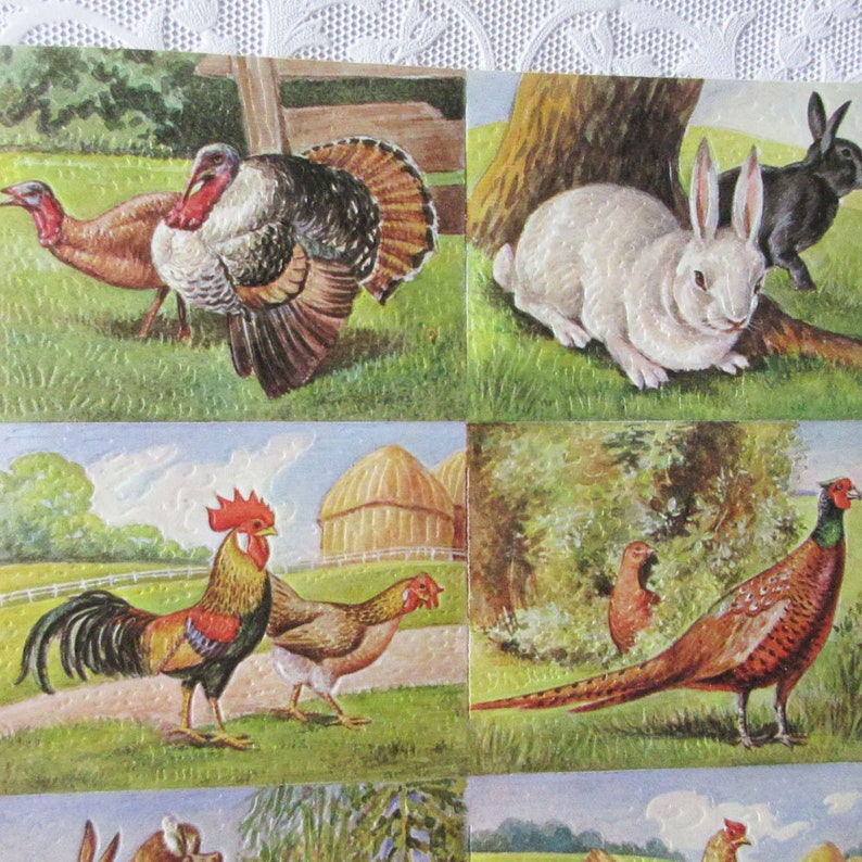 England Vintage Farm Animals Scrap Horses Cows Paper Scraps | Etsy