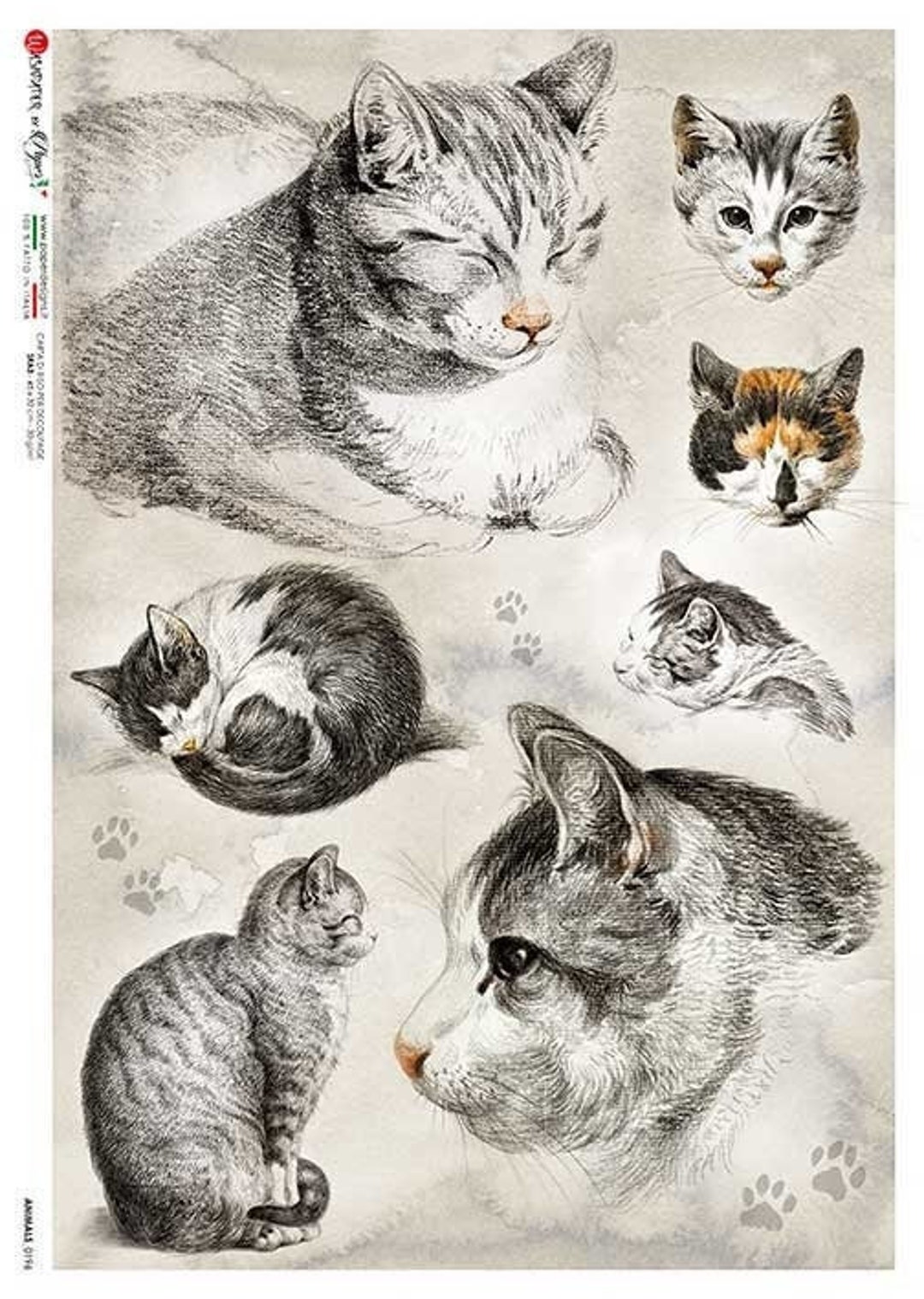 2 Sheets Italy Rice Paper Decoupage Cats Kittens Animals RCP-AN-196 X2 ...