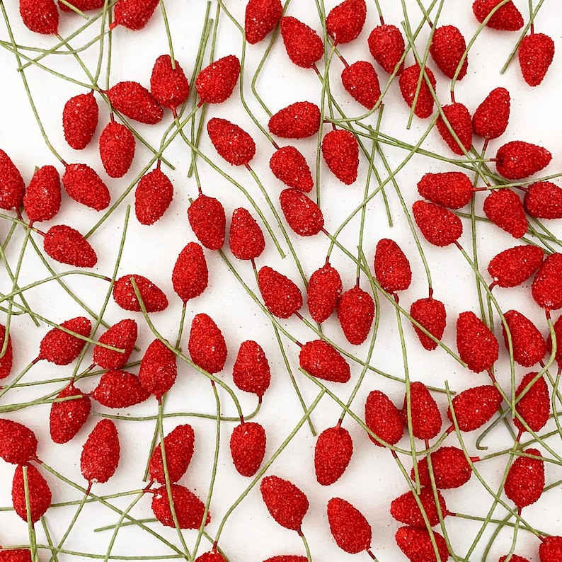24 Vintage Germany Millinery Fruit Mini Red Berries ~ 1960s Old Store ...