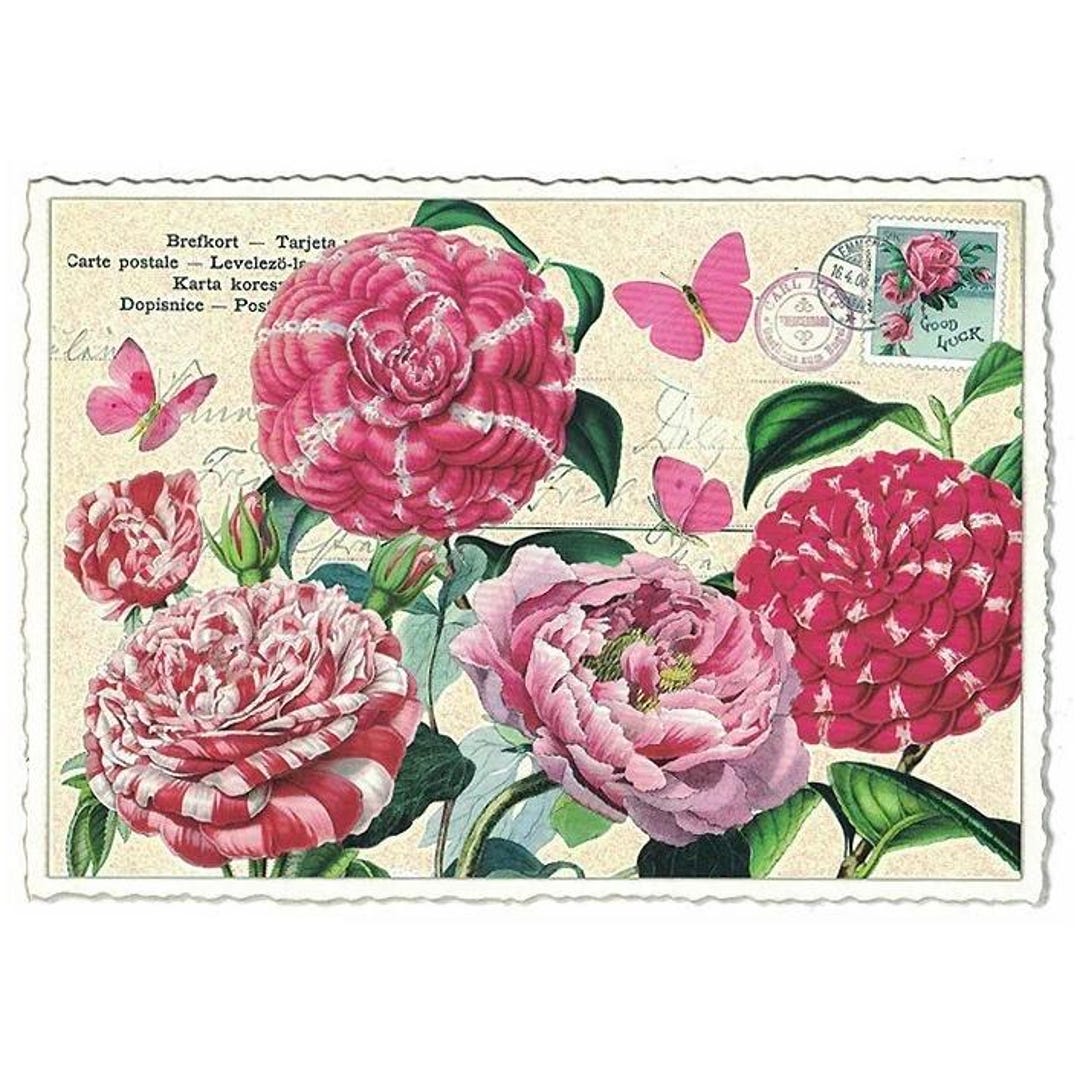 From Germany 5 Postcards Peppermint Flowers Collage Five Matching ...