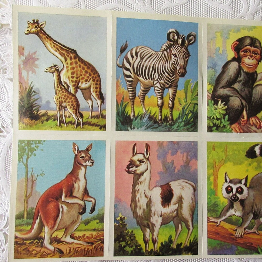 5 Sheet England Vintage Wild Animals Scrap Animal Paper Scraps MLP Out ...