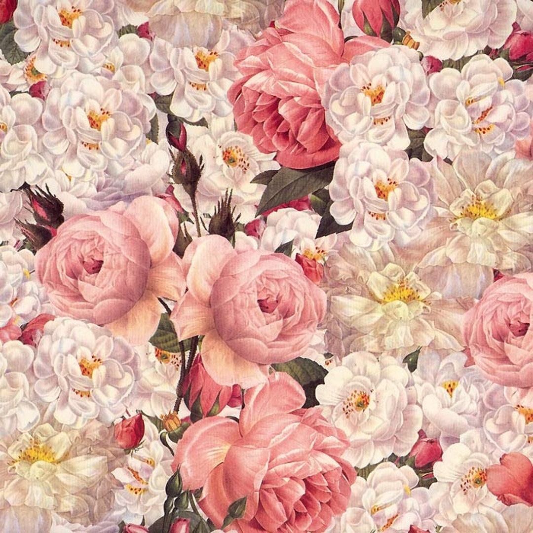 2 Sheets Cabbage Roses Italian Paper ~ Tassotti Italy IPT591 X2 - Etsy