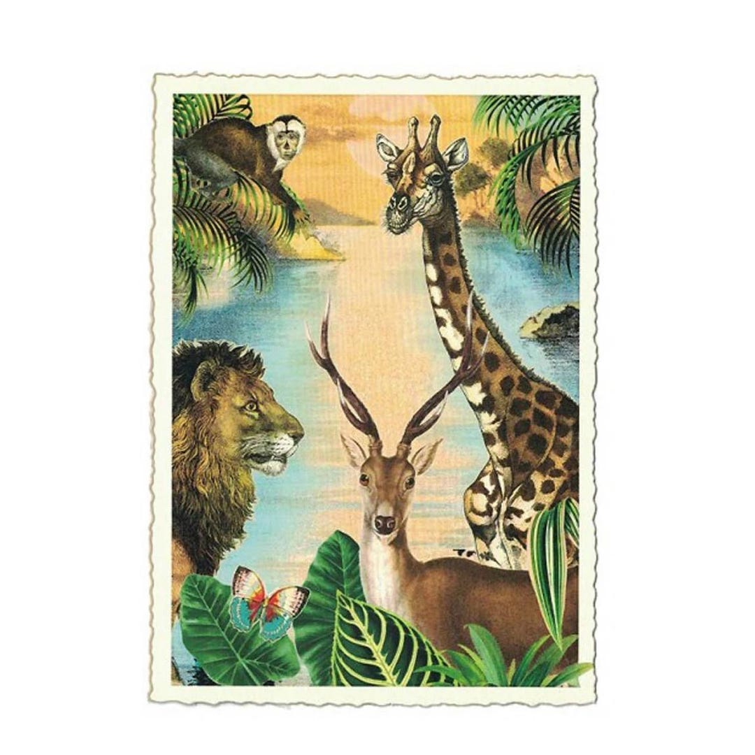 5 Germany Postcards Wild Animals Five Matching German Cards PK782 - Etsy