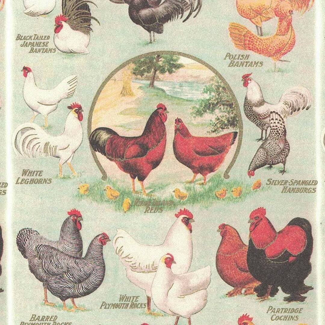 2 Sheets Italian Easter Roosters and Hens Print Paper ~ Rossi Italy ...