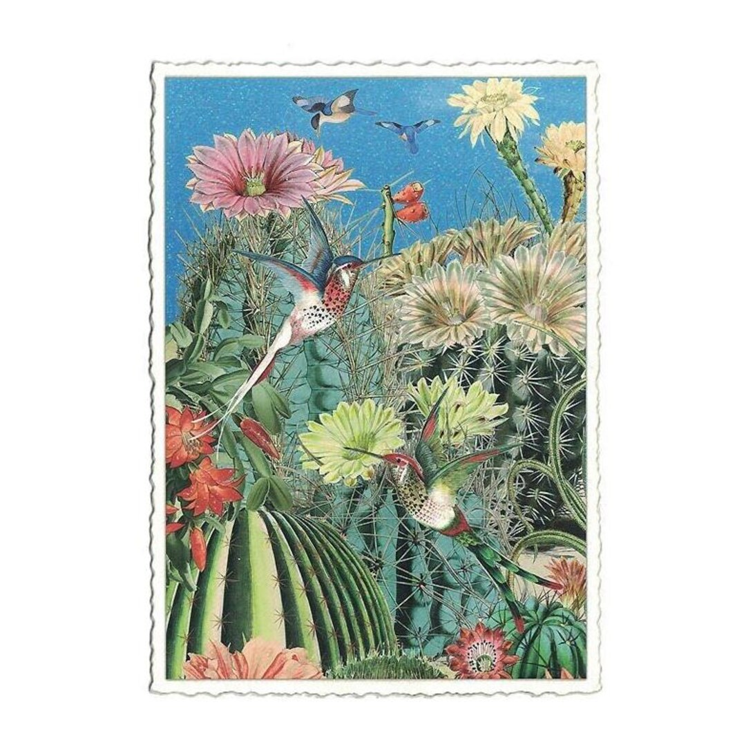 From Germany 5 Postcards Flowers Blossoms Hummingbird Five Matching ...