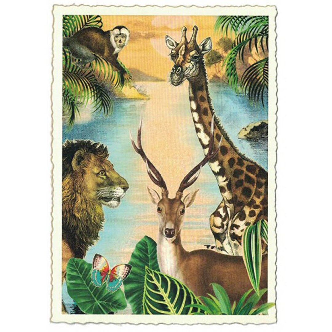 5 Germany Postcards Wild Animals Five Matching German Cards PK782 - Etsy