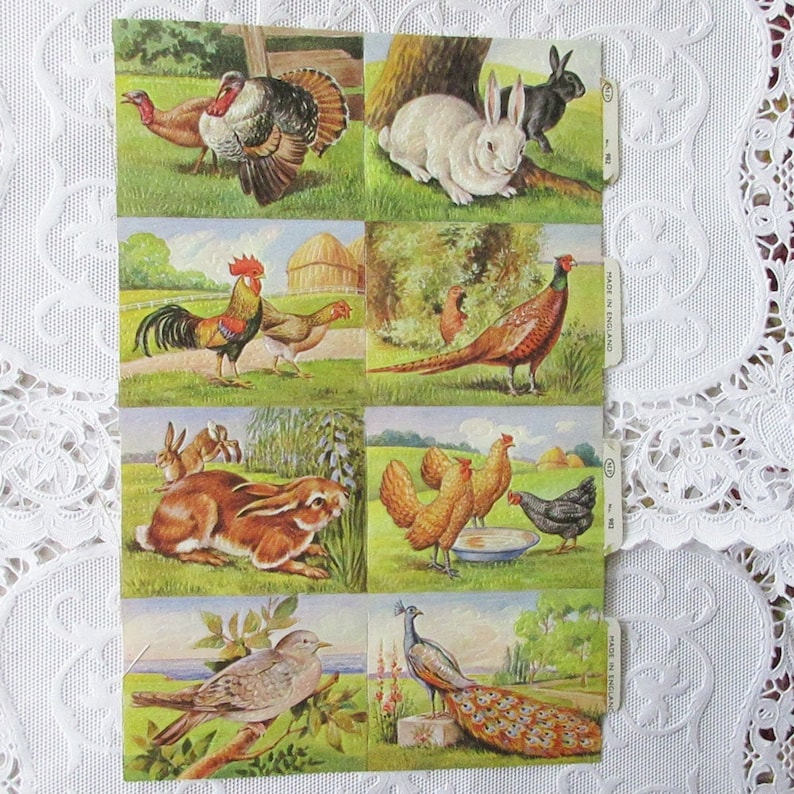 England Vintage Farm Animals Scrap Horses Cows Paper Scraps | Etsy