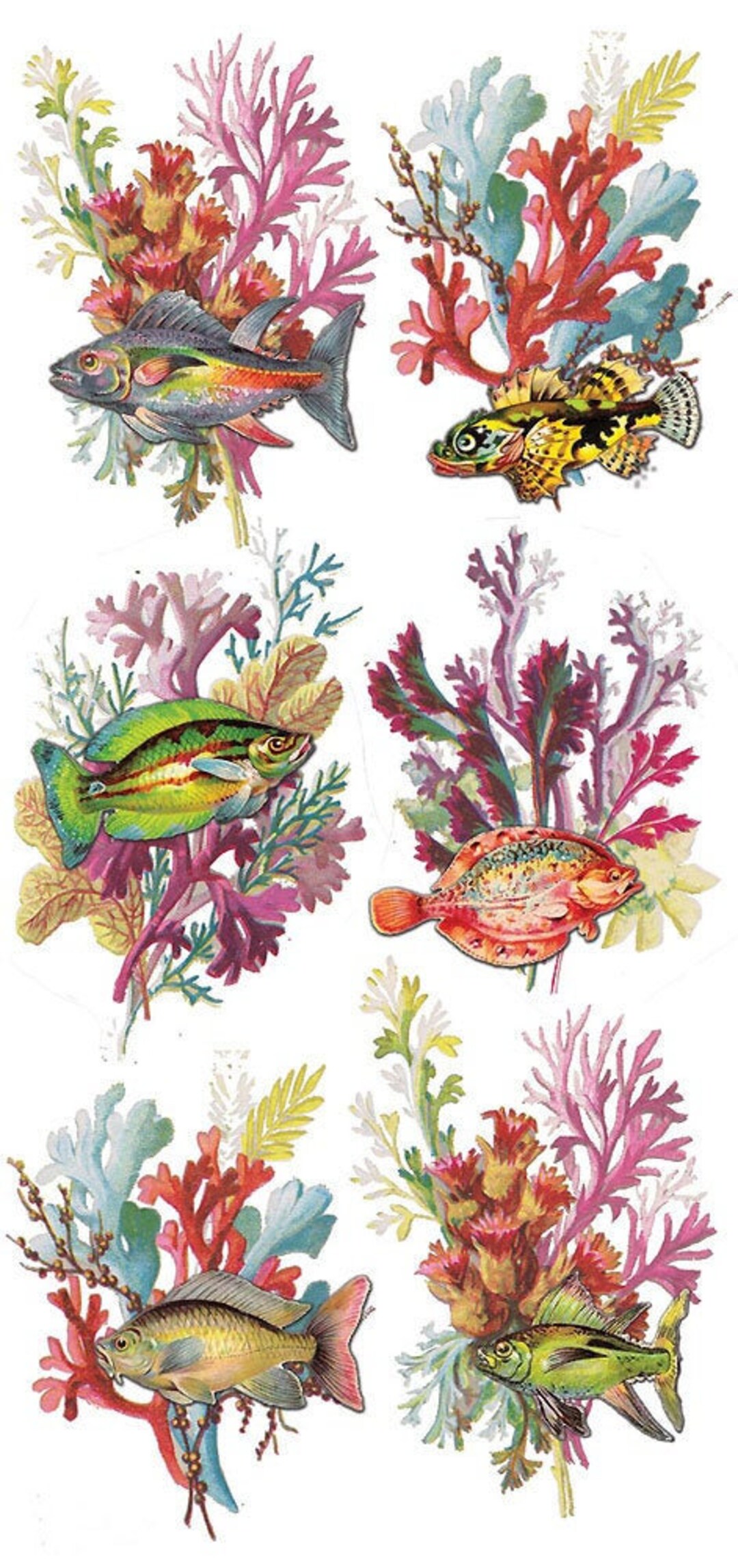 3 Sheets Self Adhesive Rainbow Reef Fish Stickers Colorful Scrapbooking ...