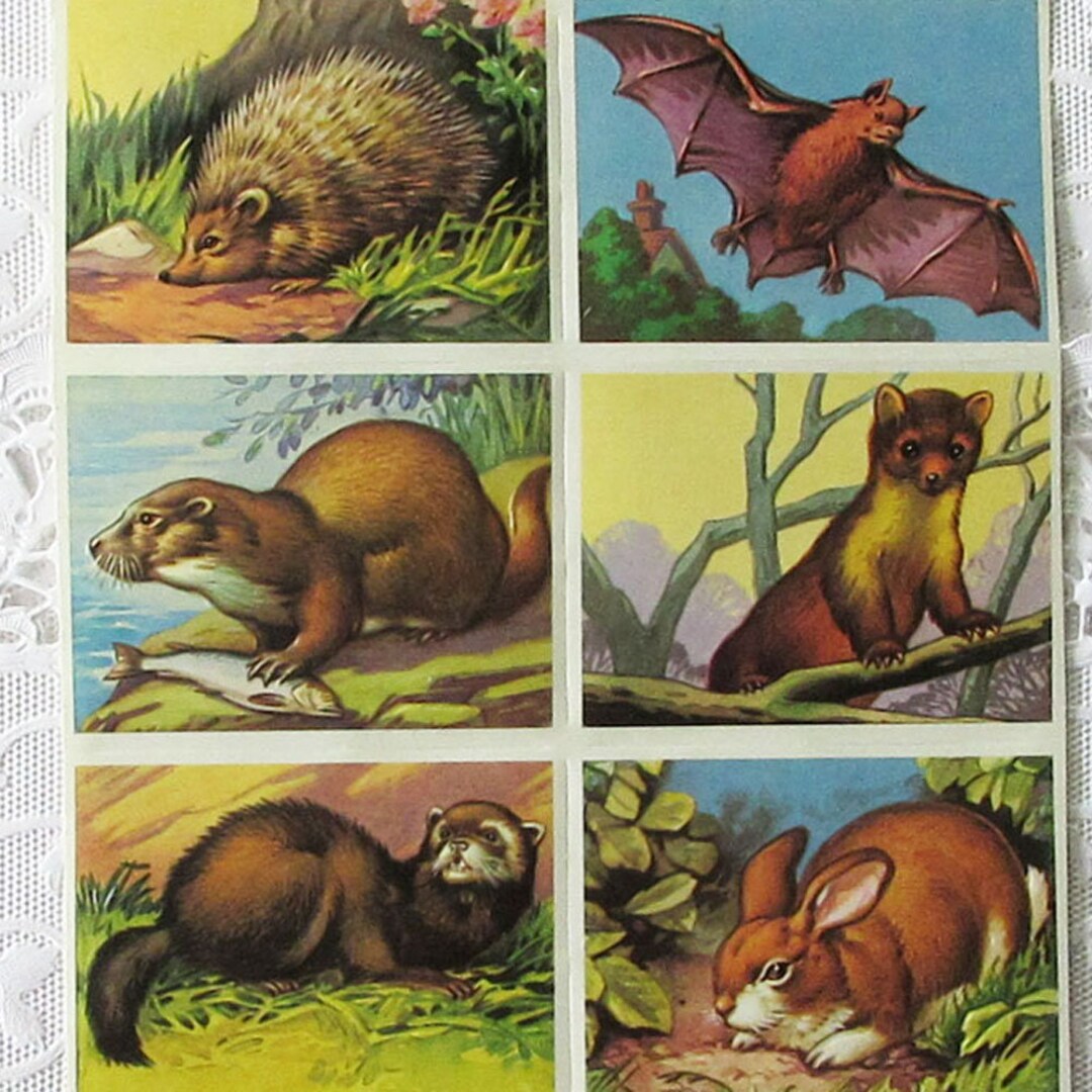 5 Sheets England Vintage Forest Animals Scrap Animal Paper Scraps MLP ...