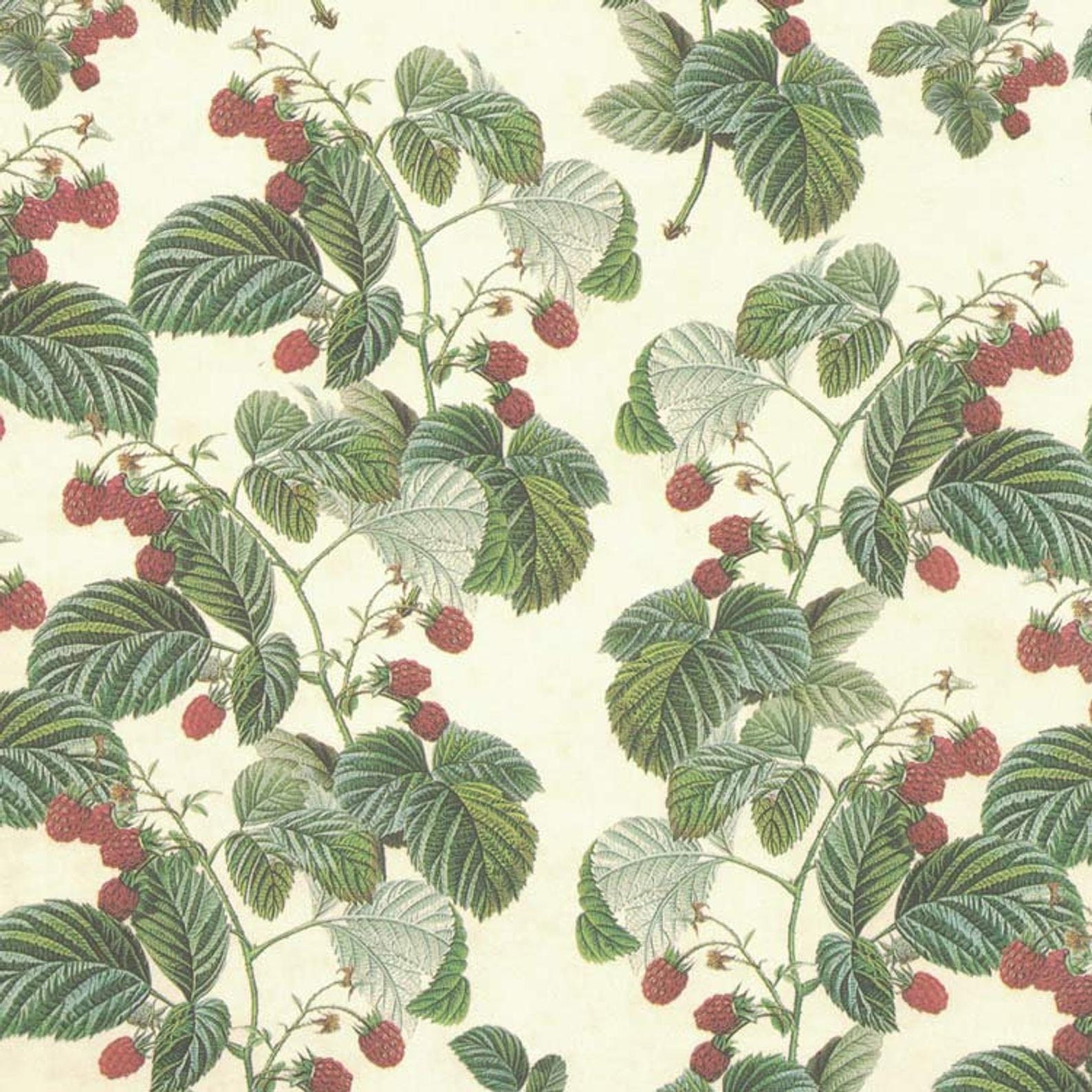 2 Sheets Italian Raspberry Raspberries Fruit Paper Leonardo | Etsy