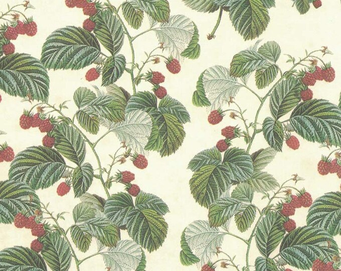 2 Sheets Italian Raspberry Raspberries Fruit Paper ~ Leonardo Italy ...