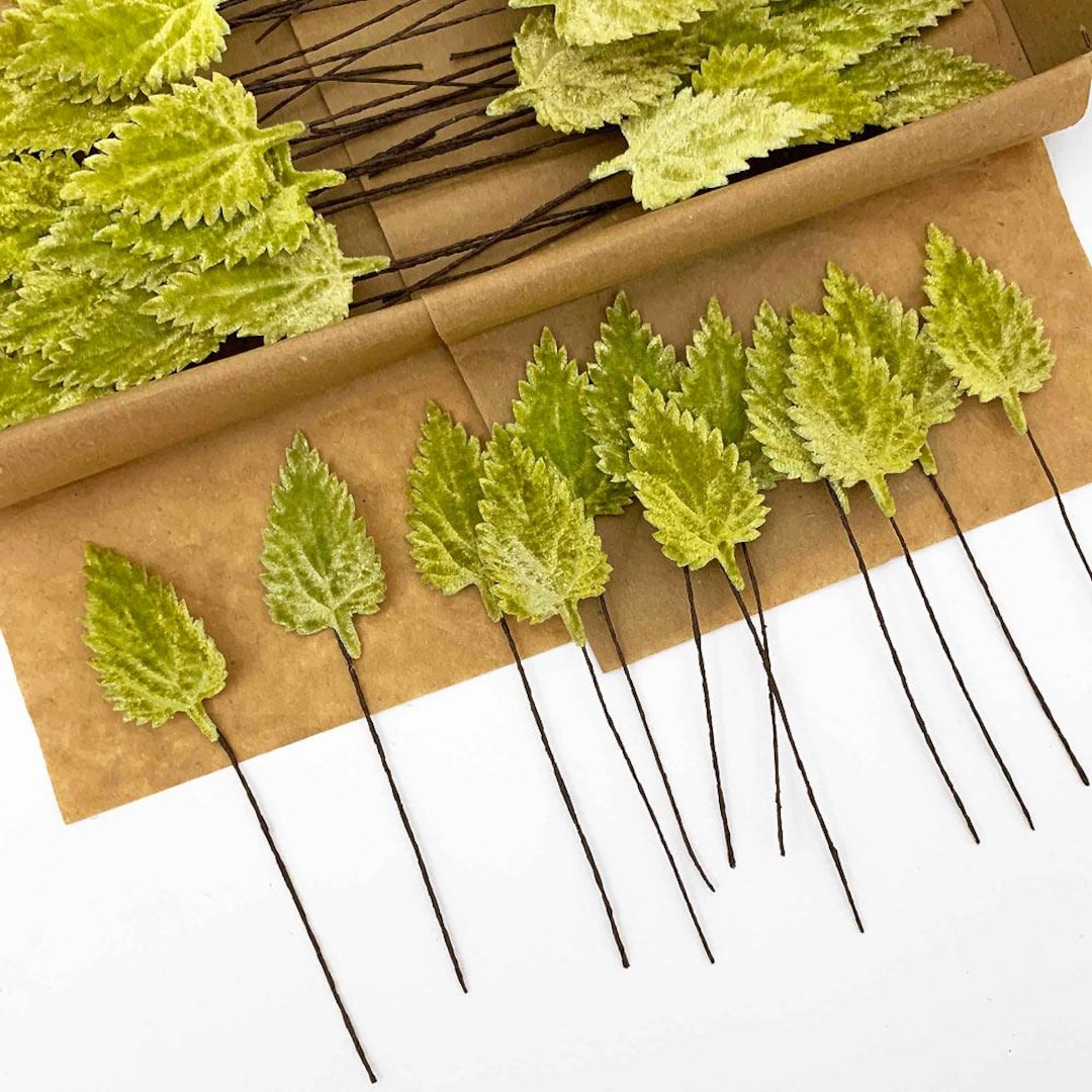 12 Czech Velvet Birch Leaves Millinery Moss Green Ombre Leaf NLC126-MG ...