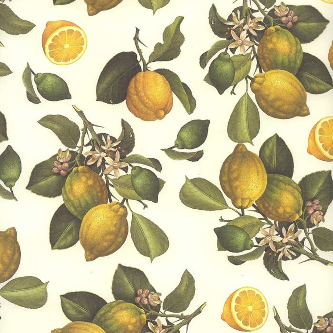 2 Sheets Yellow Lemons Fruit Print Italian Paper ~ Rossi Italy IPR243 ...