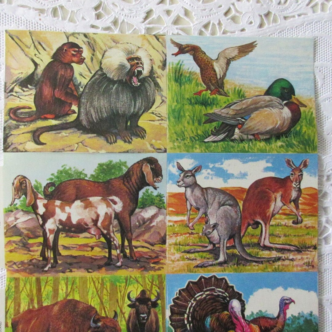 5 Sheets England Vintage Wild Animals Scrap Animal Paper Scraps MLP Out ...