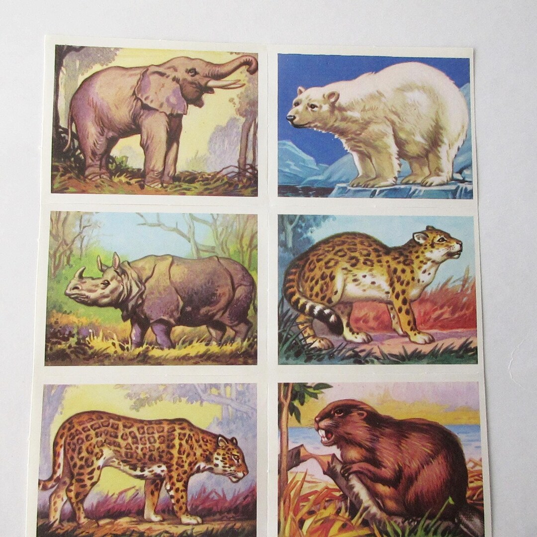 9 Sheets England Vintage Wild Animals Scrap Animal Paper Scraps MLP Out ...
