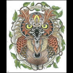 Autumn Owl Zentangle Colored Art Print 5 X 7-fall - Etsy