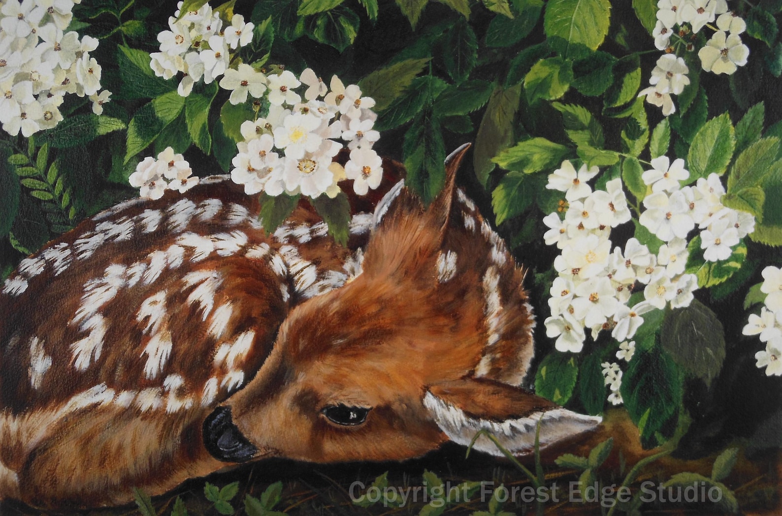 Fawn Art Print: Acrylic Wildlife Painting, Forest Nursery Decor - Etsy